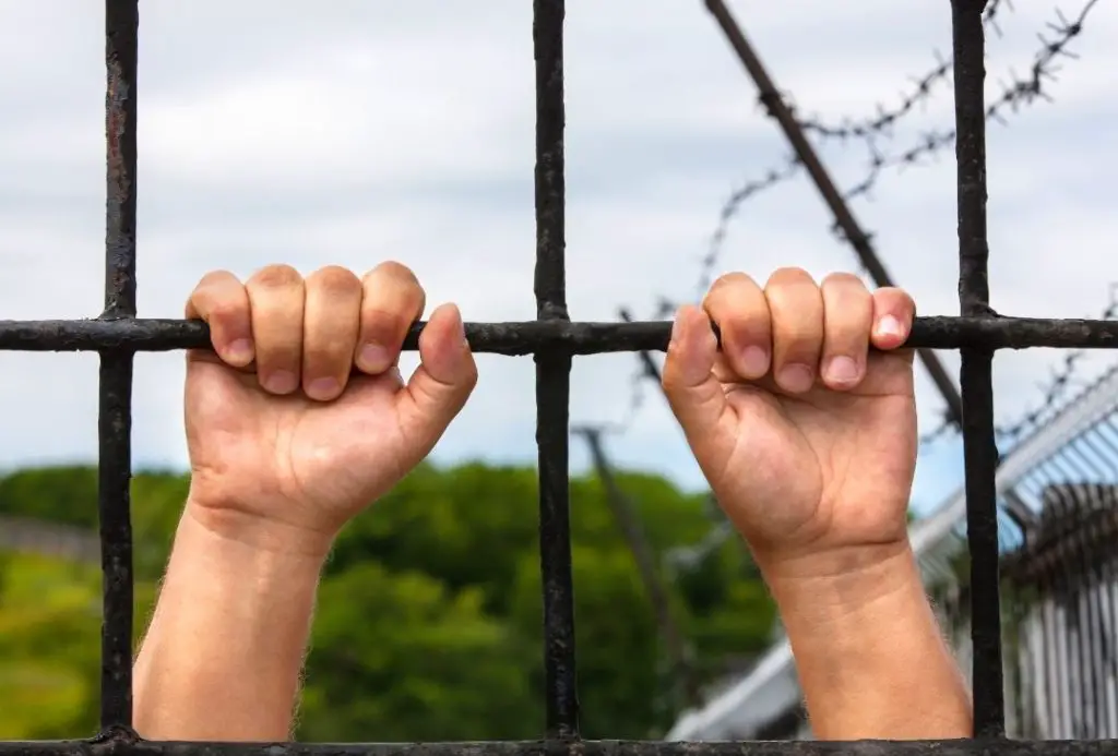 "¡Descubre el increíble propósito detrás del reingreso que te dejará ...